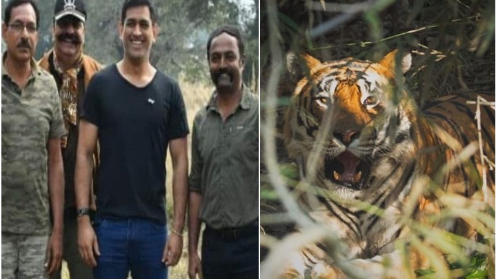 MS Dhoni clicks a tiger in Kanha Reserve; shares it on Instagram